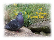 National Pigeon Day